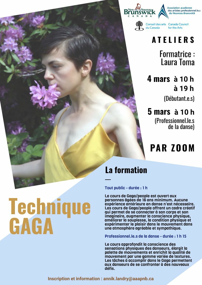 Affiche_Laura_Toma_technique_GAGA | Piktochart Visual Editor