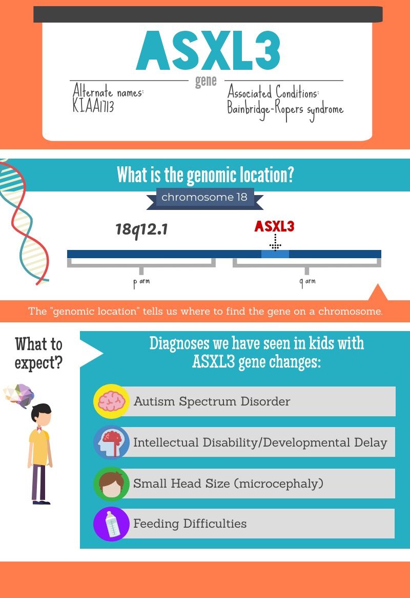 ASXL3 - Infographic | Piktochart Visual Editor