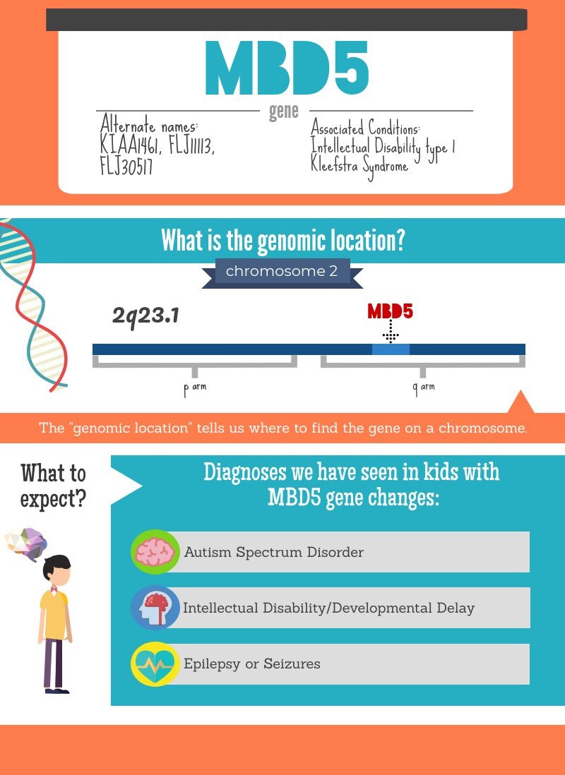 MBD5- Infographic | Piktochart Visual Editor