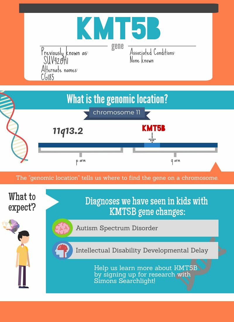 KMT5B- Infographic | Piktochart Visual Editor