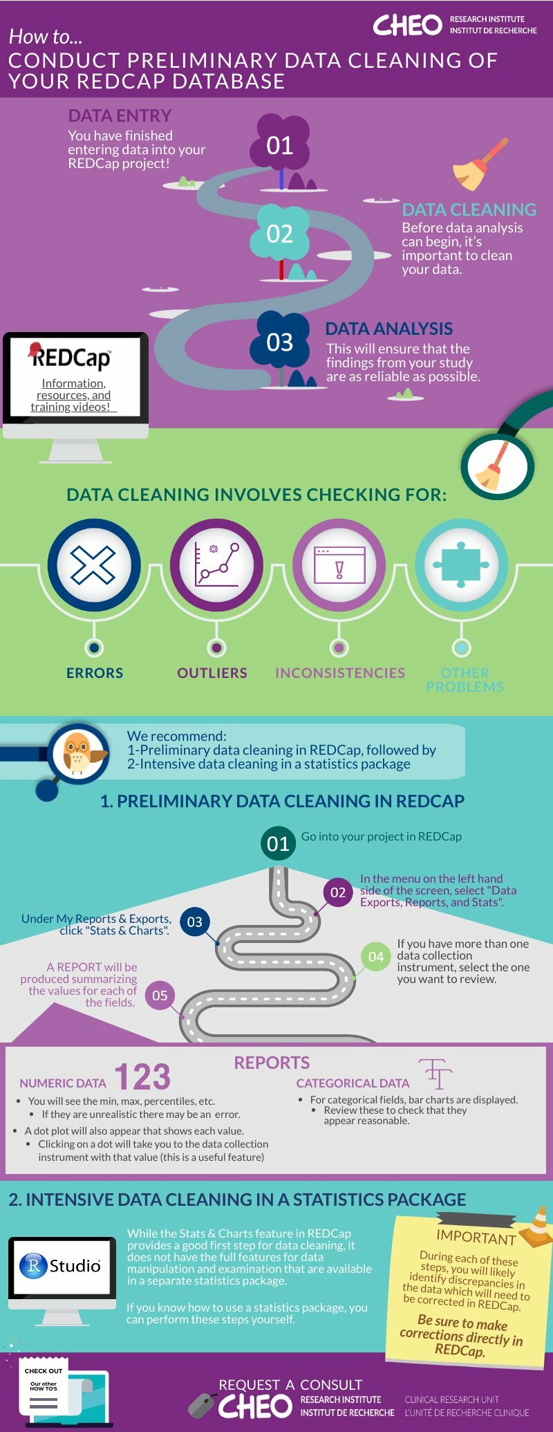 Conduct Preliminary Data Cleaning Of Your REDCap Database Piktochart 